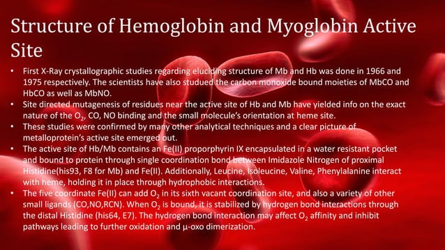 [Brief]Structure and functions of hemoglobin and myglobin (Bio ...