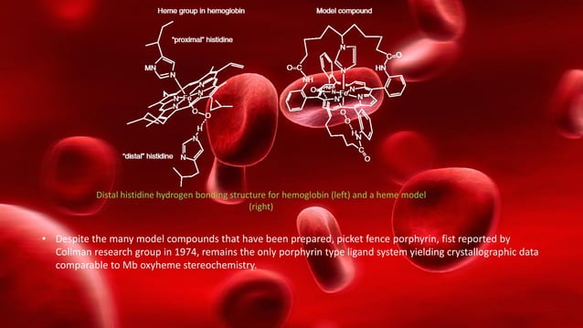 [Brief]Structure and functions of hemoglobin and myglobin (Bio ...