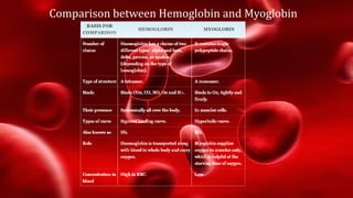 [Brief]Structure and functions of hemoglobin and myglobin (Bio-Inorganic chemistry) | PDF