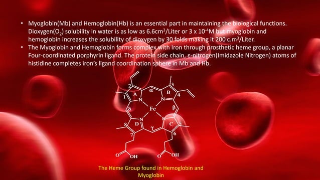 [Brief]Structure and functions of hemoglobin and myglobin (Bio ...