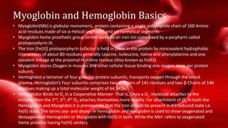 [Brief]Structure and functions of hemoglobin and myglobin (Bio ...