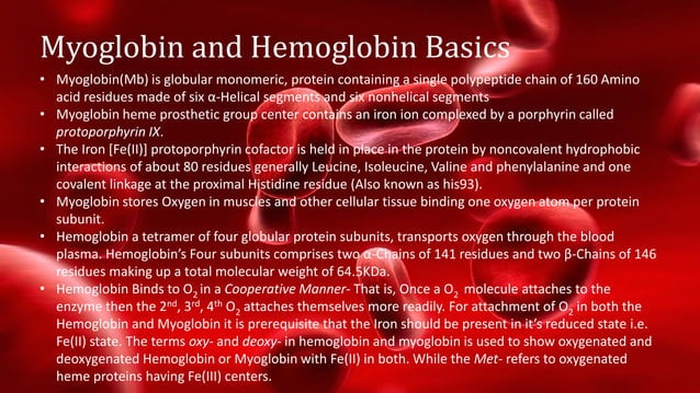[Brief]Structure and functions of hemoglobin and myglobin (Bio ...
