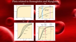[Brief]Structure and functions of hemoglobin and myglobin (Bio ...