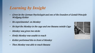 Brief summary of learning in psychology | PPT