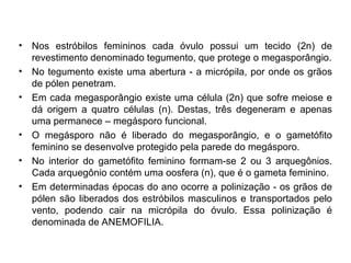 Briófitas, Pteridófitas, Gimnosperma e Angiospermas.ppt