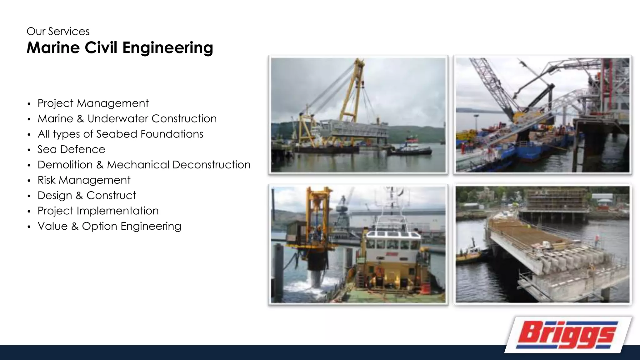 Briggs Group Presentation | PPT