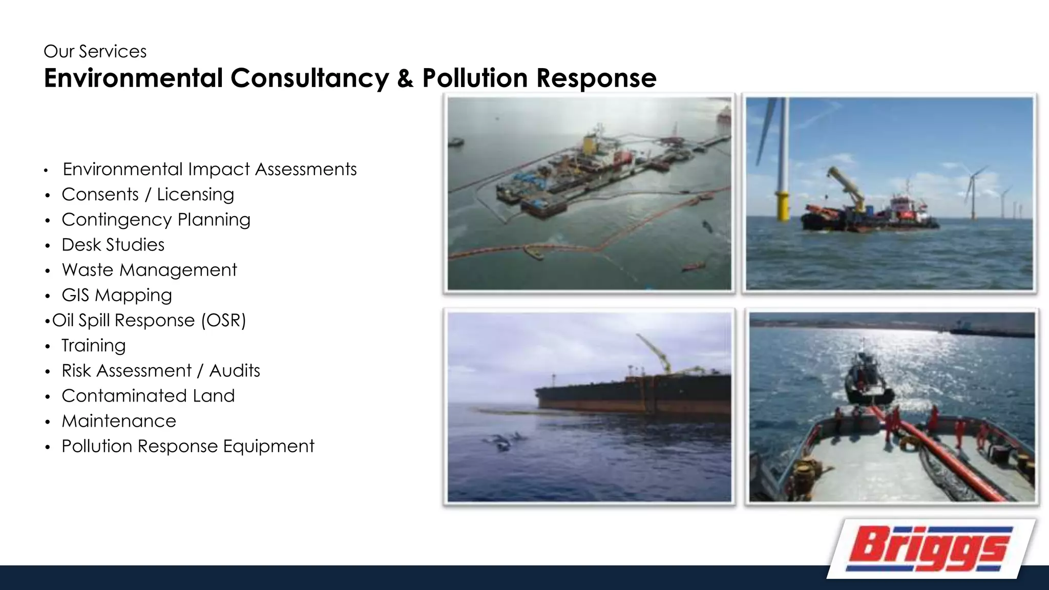 Briggs Group Presentation | PPTX