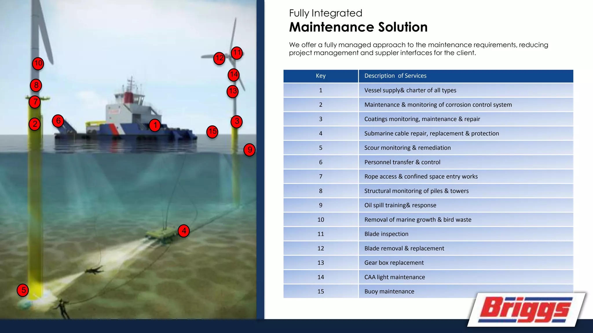 Briggs Group Presentation | PPTX