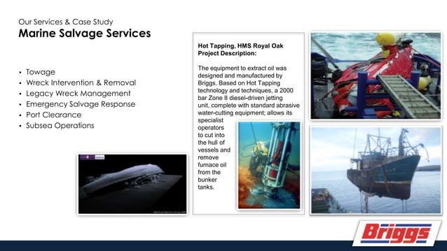 Briggs Group Presentation | PPTX