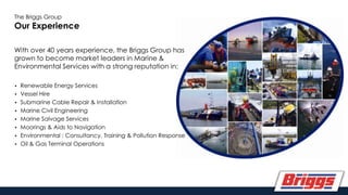 Briggs Group Presentation | PPTX