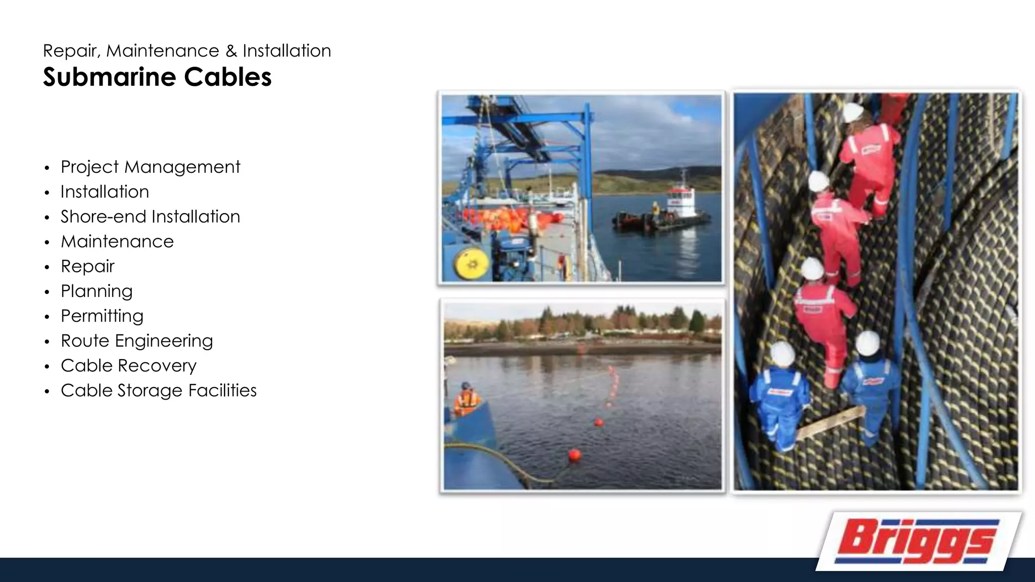 Briggs Group Presentation | PPTX