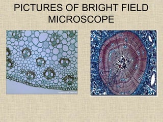 Bright field microscope | PPTX