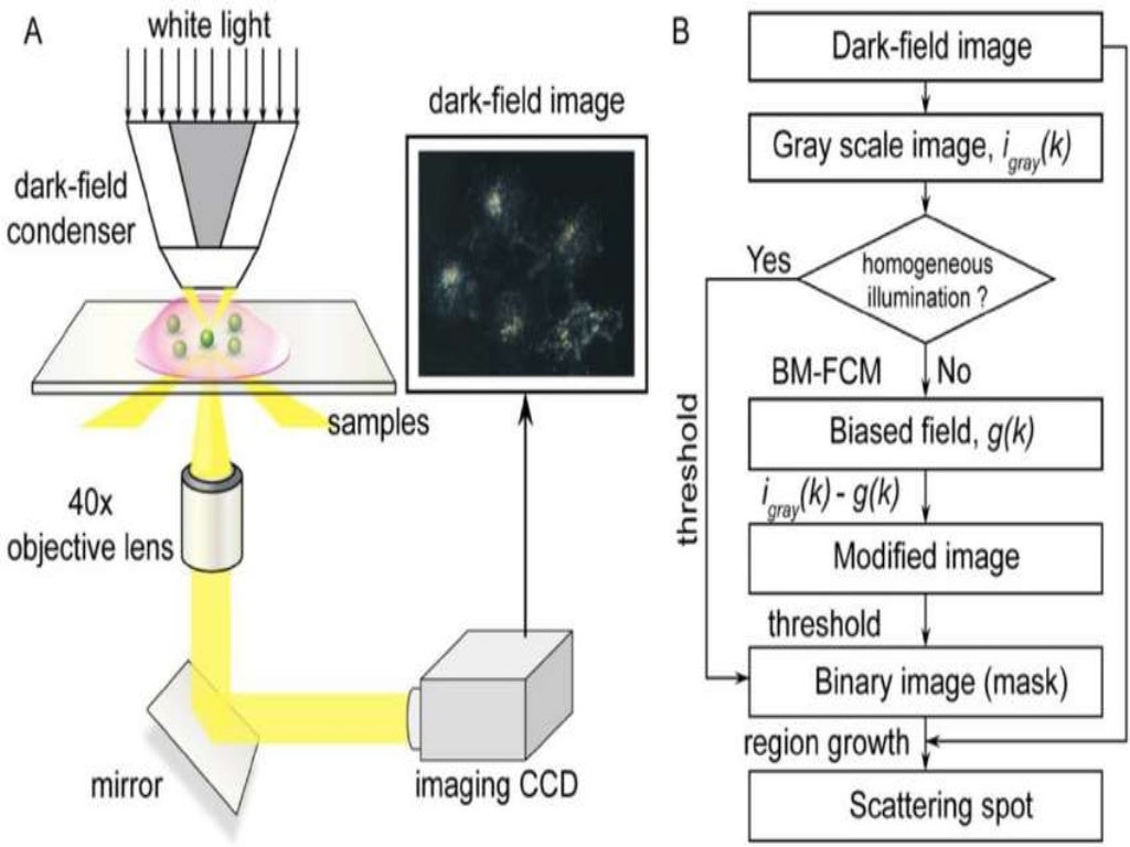 Bright field microscope