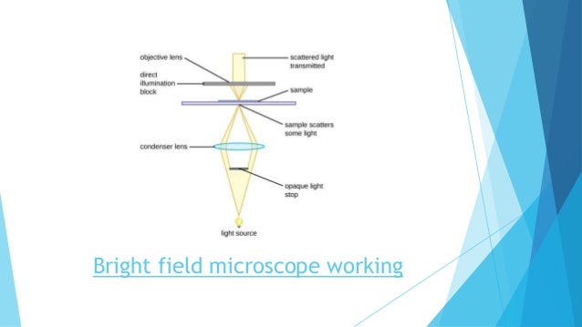 Bright field microscope and its working principle