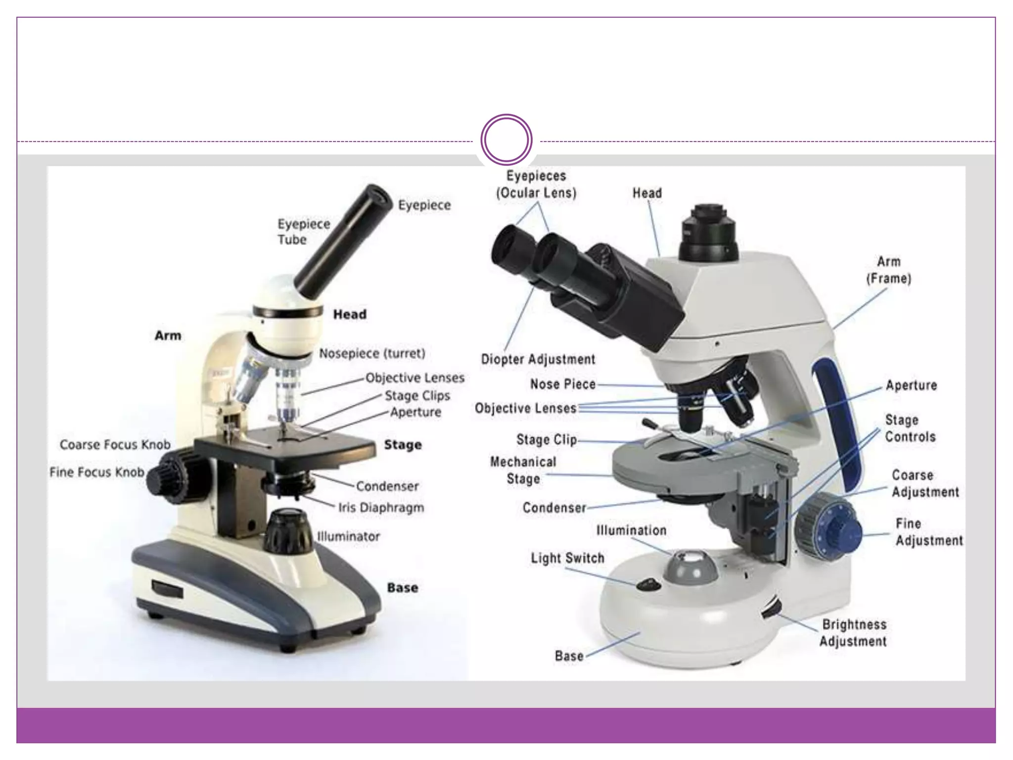 Bright field microscope | PPTX