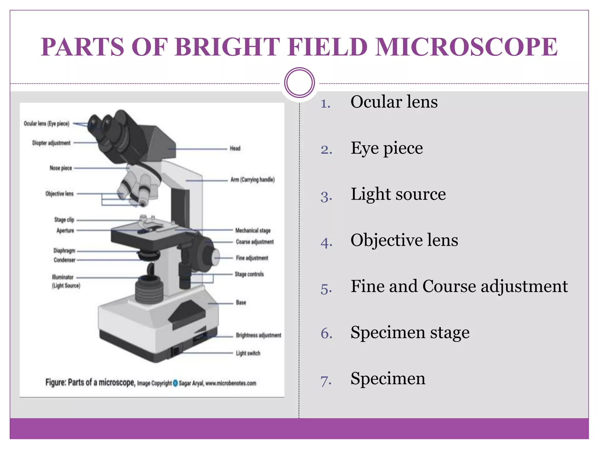 Bright field microscope | PPTX