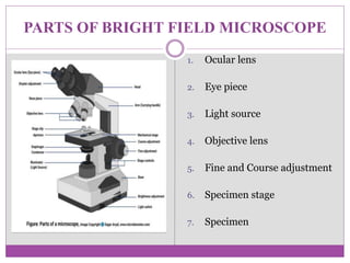 Bright field microscope | PPTX