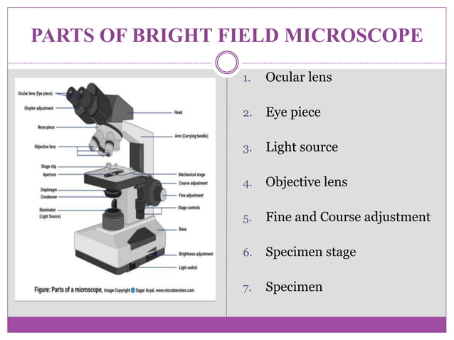 Bright field microscope | PPT