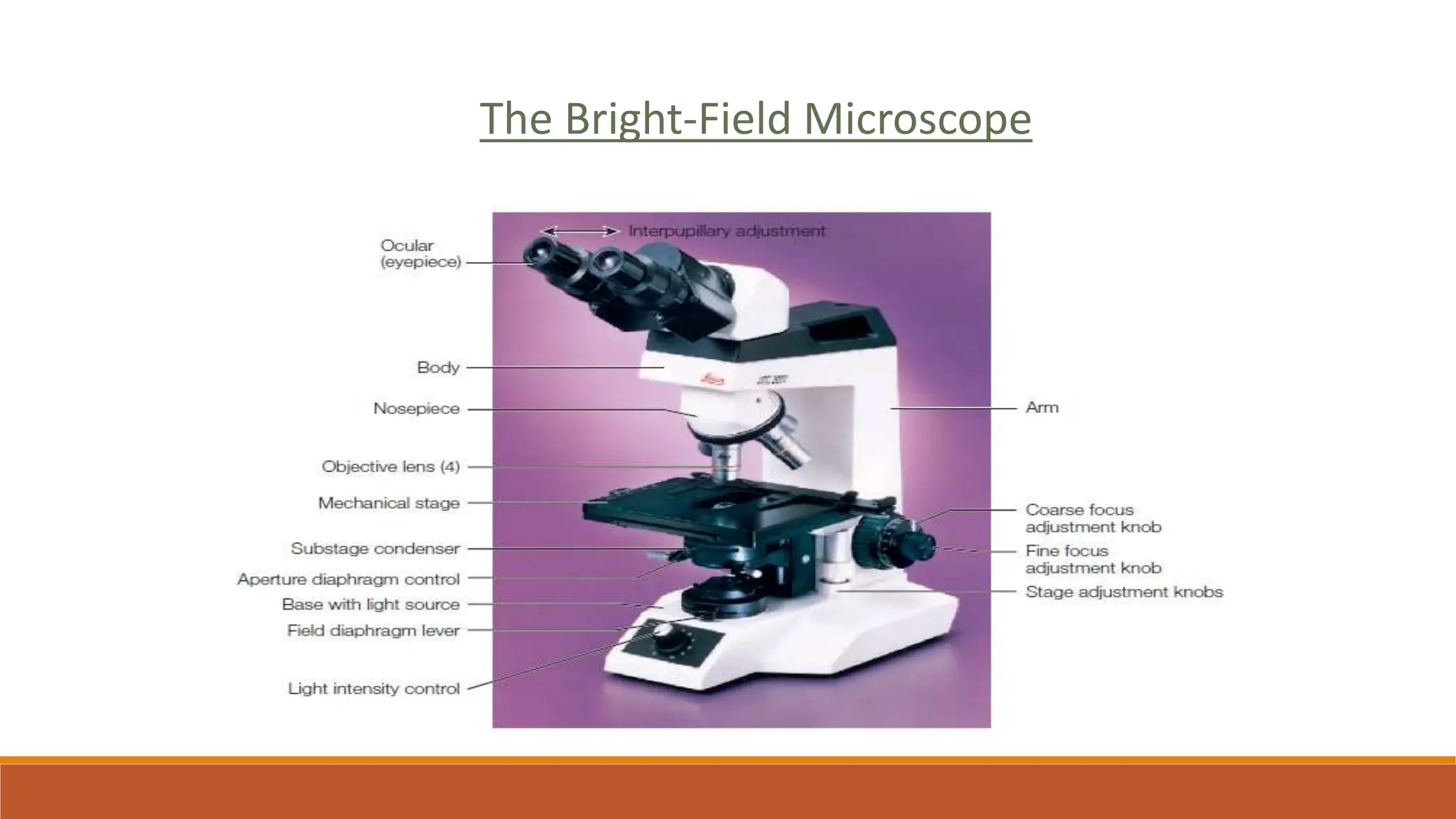 Introduction - Bright Field Microscope.pptx