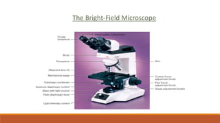 Introduction - Bright Field Microscope.pptx