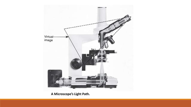 Introduction - Bright Field Microscope.pptx