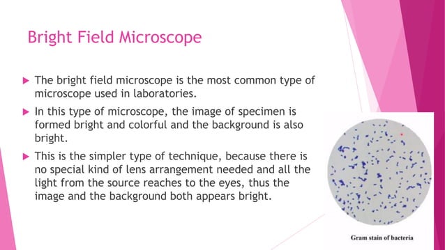 Bright field microscope and dark field microscope.pdf | Biological ...
