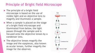 Bright field microscope and dark field microscope.pdf