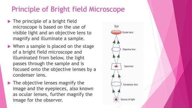Bright field microscope and dark field microscope.pdf | Biological ...