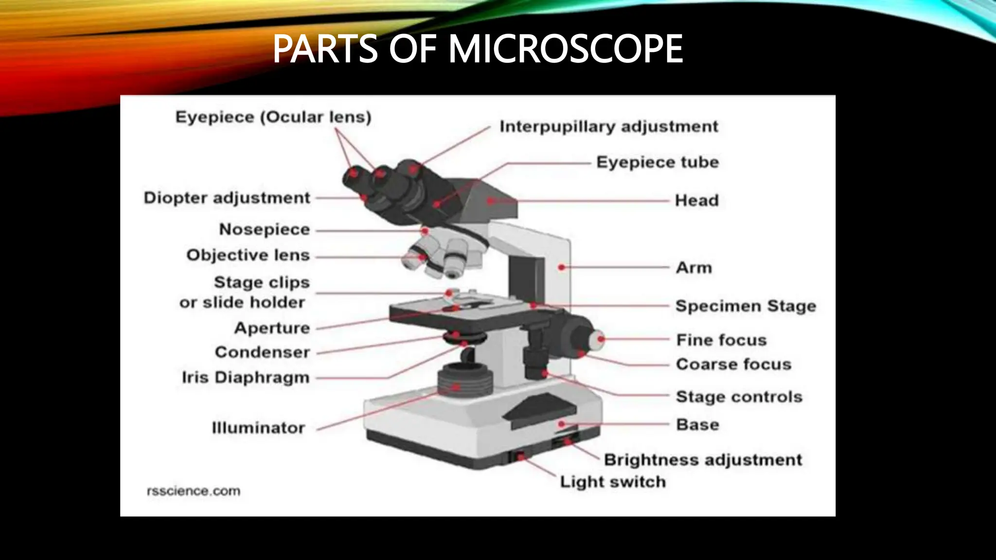 Bright field microscope .pptx