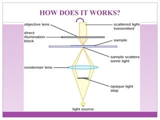 brightfield microscope lecture 2.pptx | Photography | Arts and Crafts