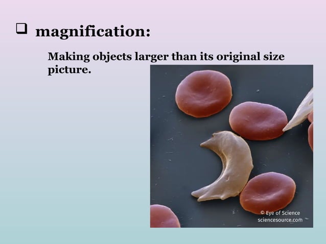 brightfield microscope lecture 2.pptx | Photography | Arts and Crafts