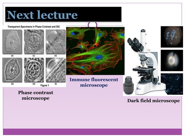 brightfield microscope lecture 2.pptx | Photography | Arts and Crafts