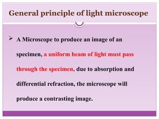 brightfield microscope lecture 2.pptx | Photography | Arts and Crafts