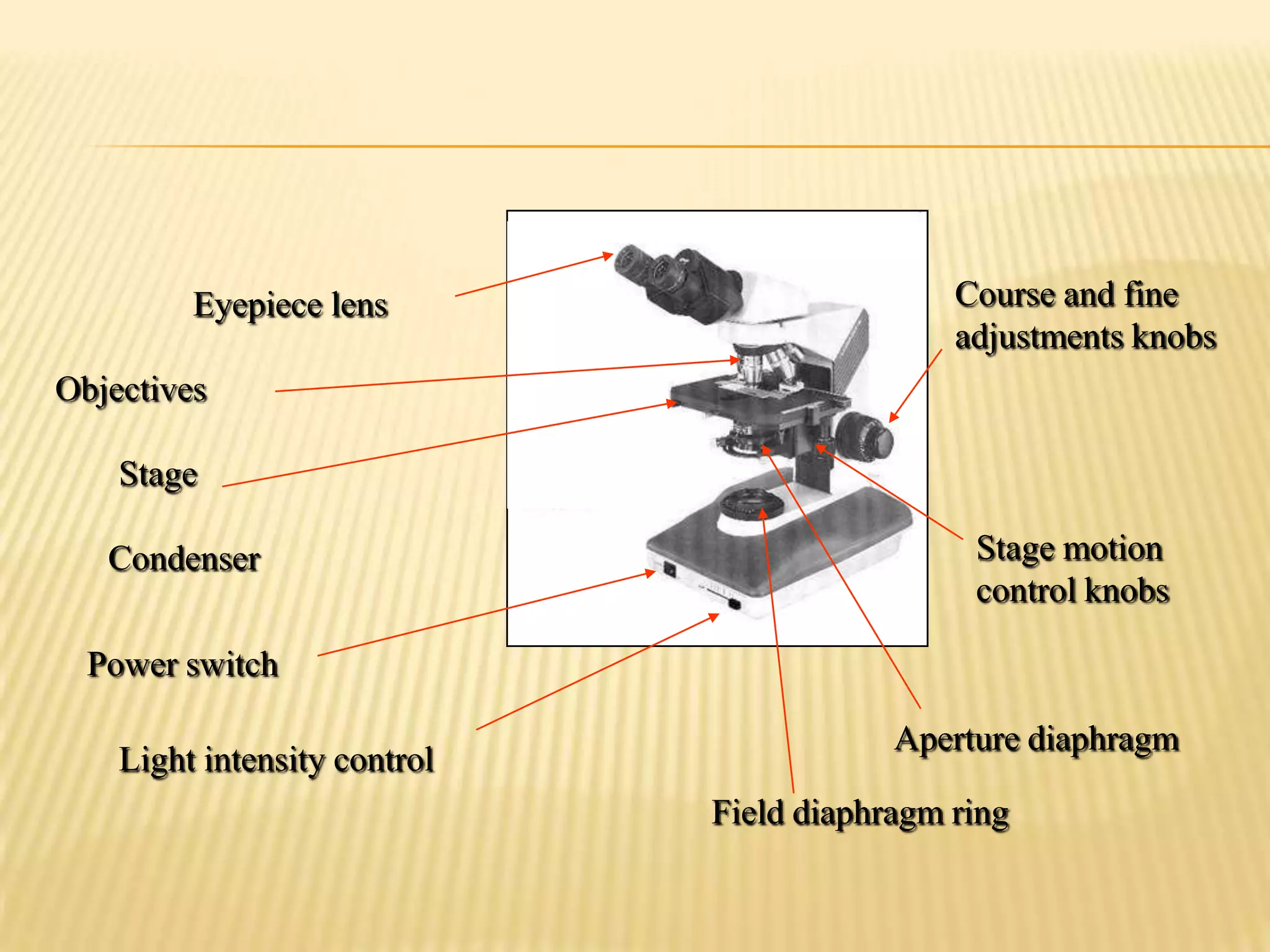 Bright field microscopes | PPTX