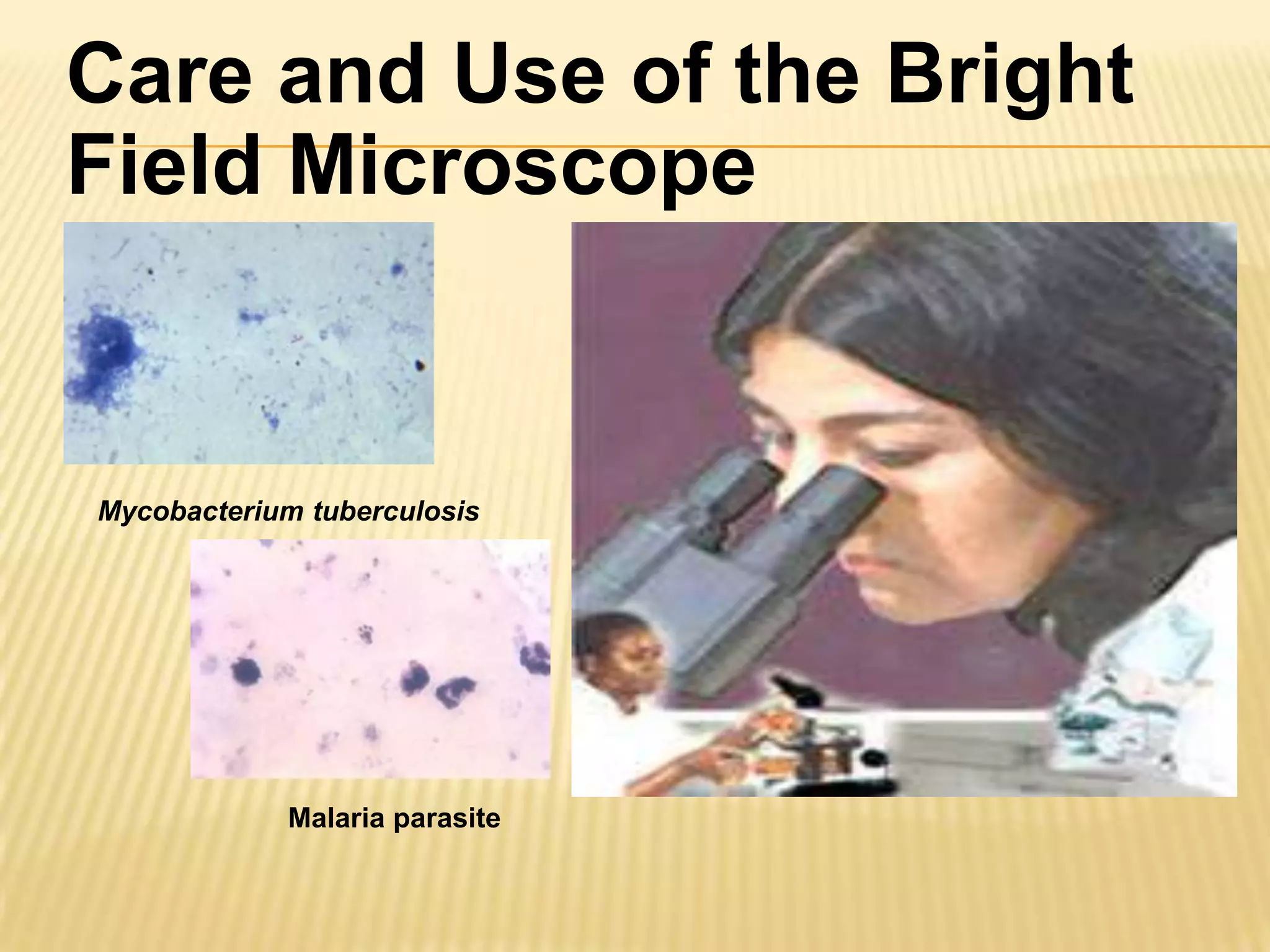 Bright field microscopes | PPTX