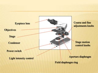 Bright field microscopes | PPTX