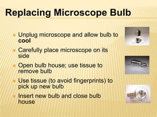 Bright field microscopes | PPTX