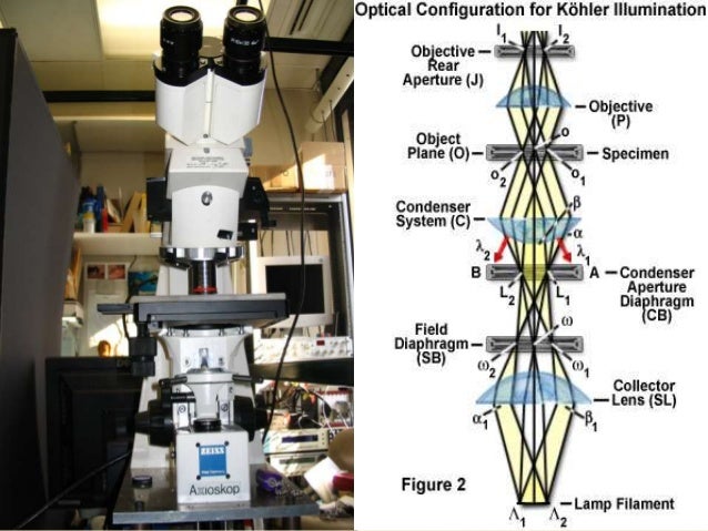 Bright field microscopes