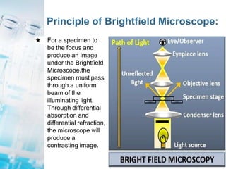 Bright Field Microscopy.pptx