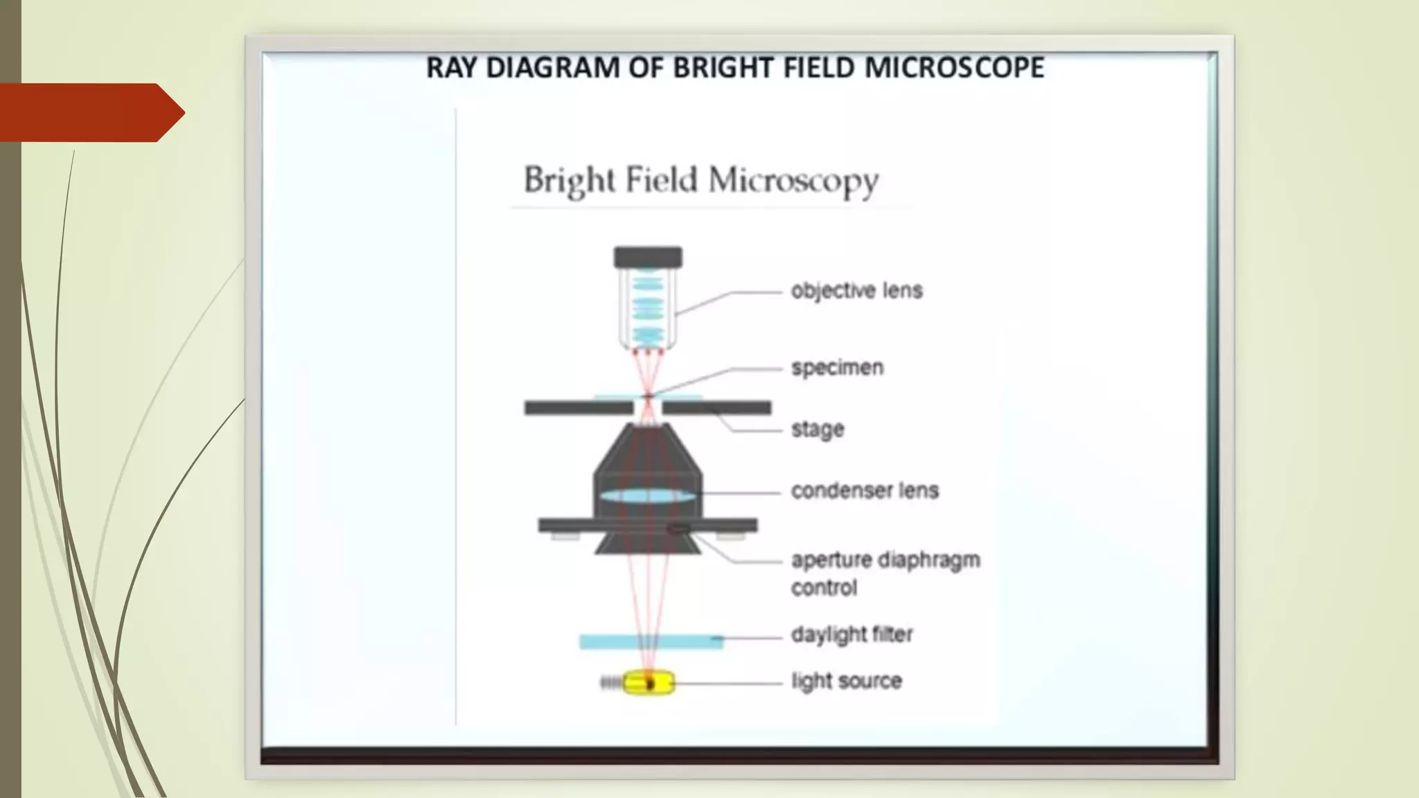 Bright field simple microscope | PPTX