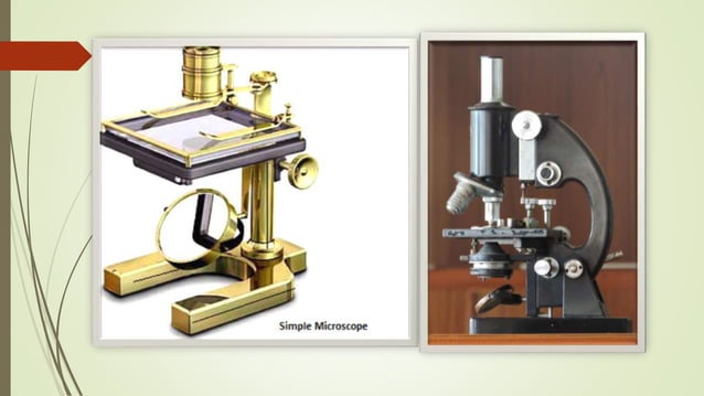 Bright field simple microscope | PPTX