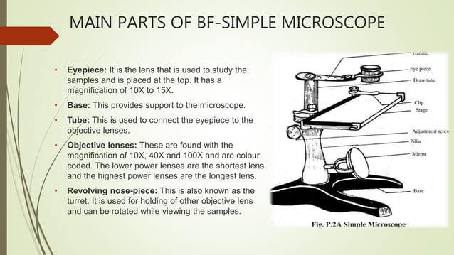 Bright field simple microscope | PPTX
