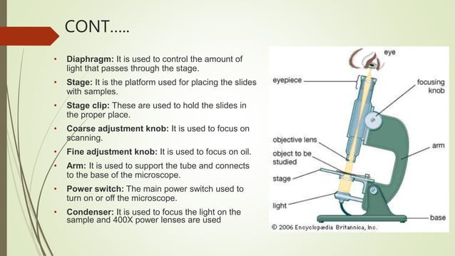 Bright field simple microscope | PPTX