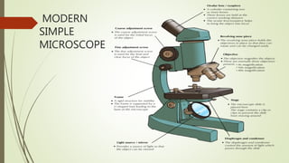 Bright field simple microscope | PPTX