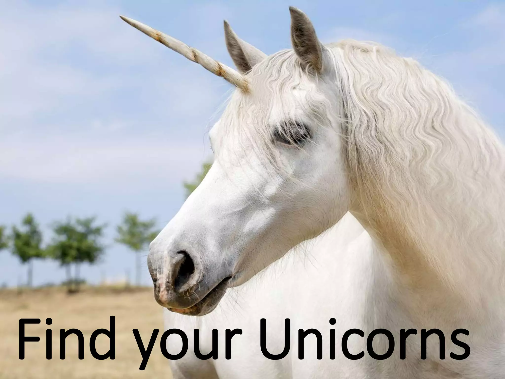 A Basic Guide to Server Log Analysis | PPTX