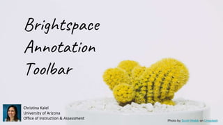 Brightspace Annotation Toolbar at D2L Connection Arizona | PPT