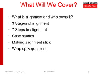 7 Steps To Alignment Webcast 101911 Handout | PPT