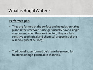 BrightWater | PDF