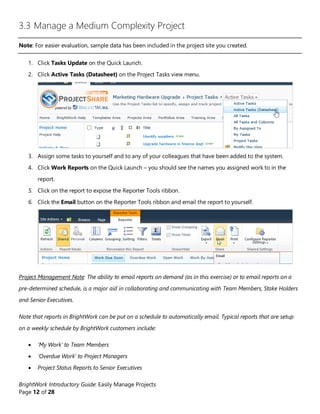 Brightwork Project Management Introductory Guide - From Atidan | PDF