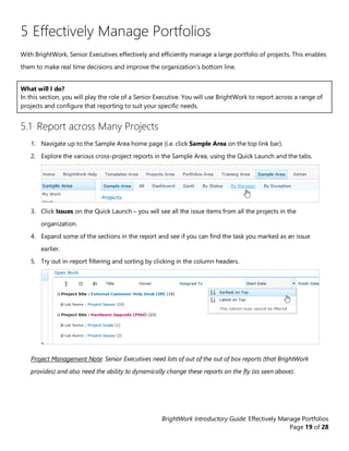 Brightwork Project Management Introductory Guide - From Atidan | PDF
